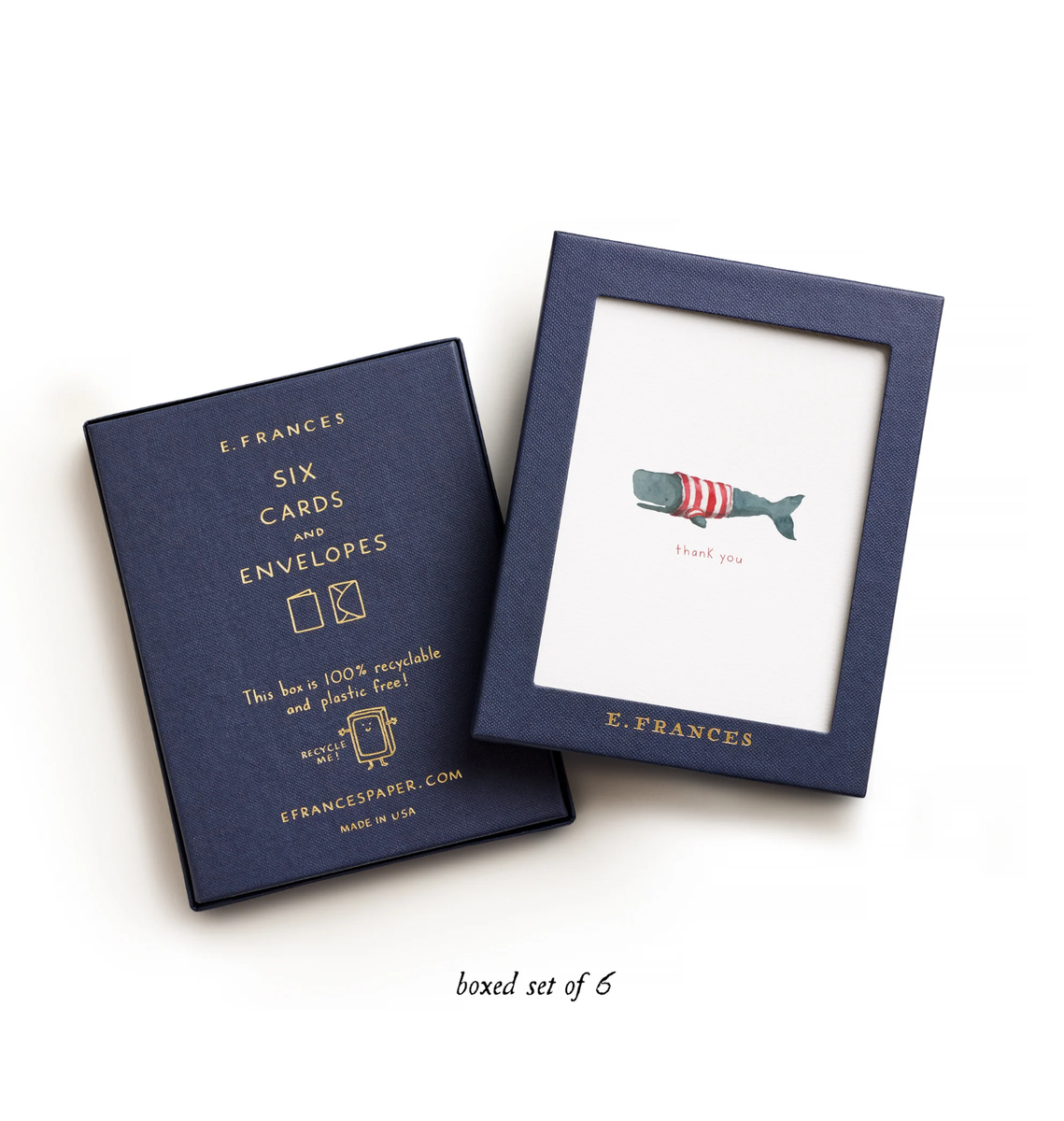 Whale Thanks | Thank You Card (Boxed Set of 6) – Feste