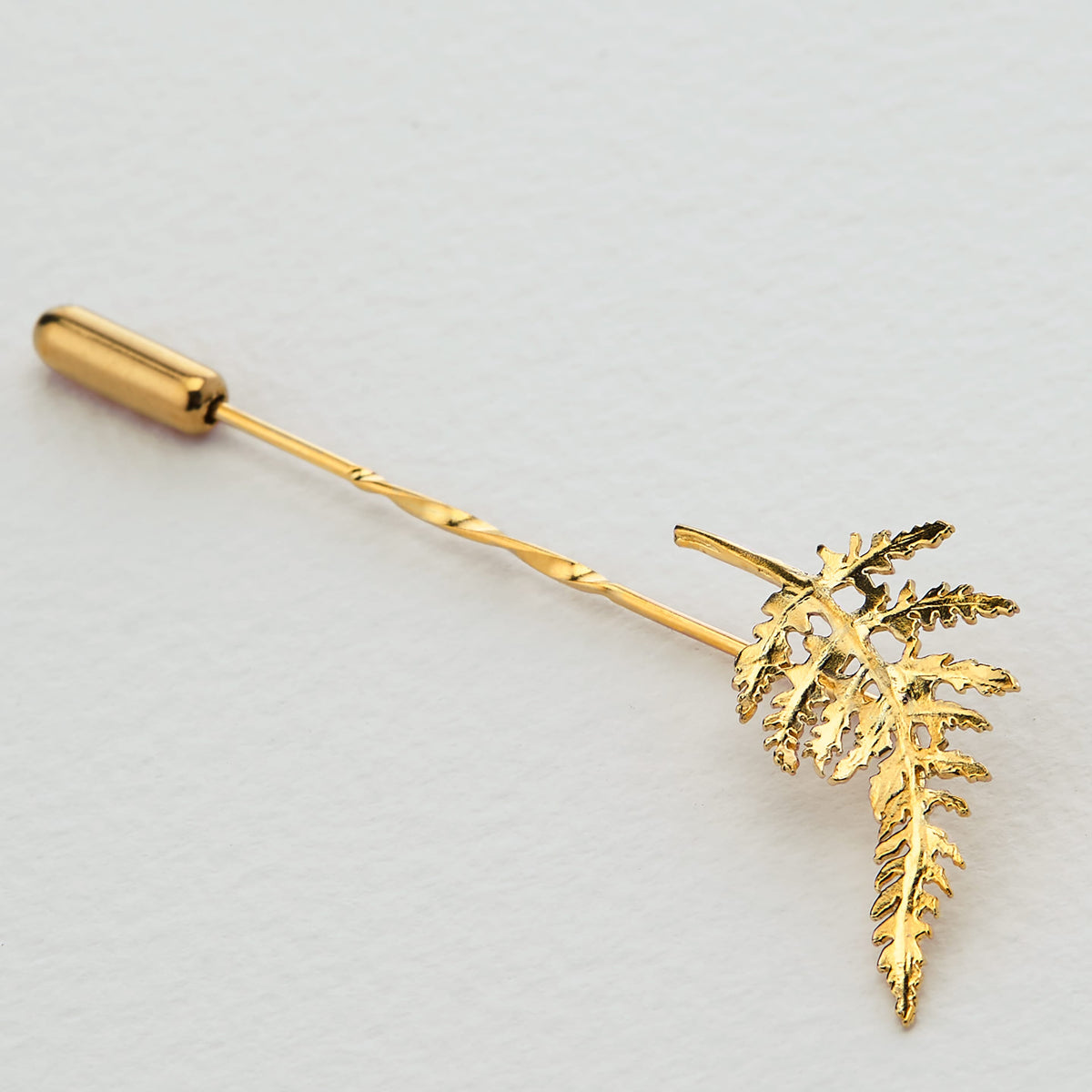 Fern Pin – Feste